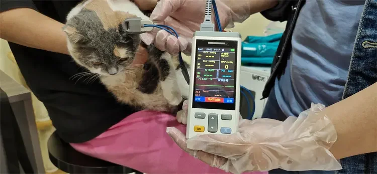 Factory Portable Handheld Vet Vital Signs Monitor Pulse Oximeters ...