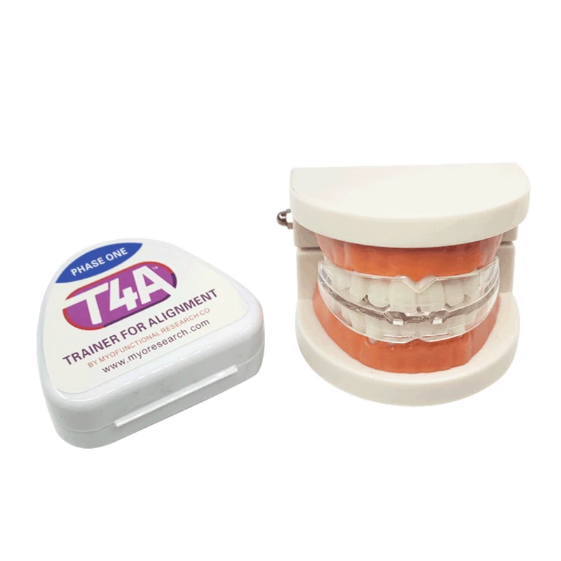 Dental Tooth Orthodontic Appliance Trainer for Alignment