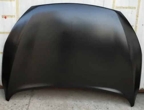 HOOD for CAR OEM 66400-C5000 - Quality from ZHEJIANG, CHINA