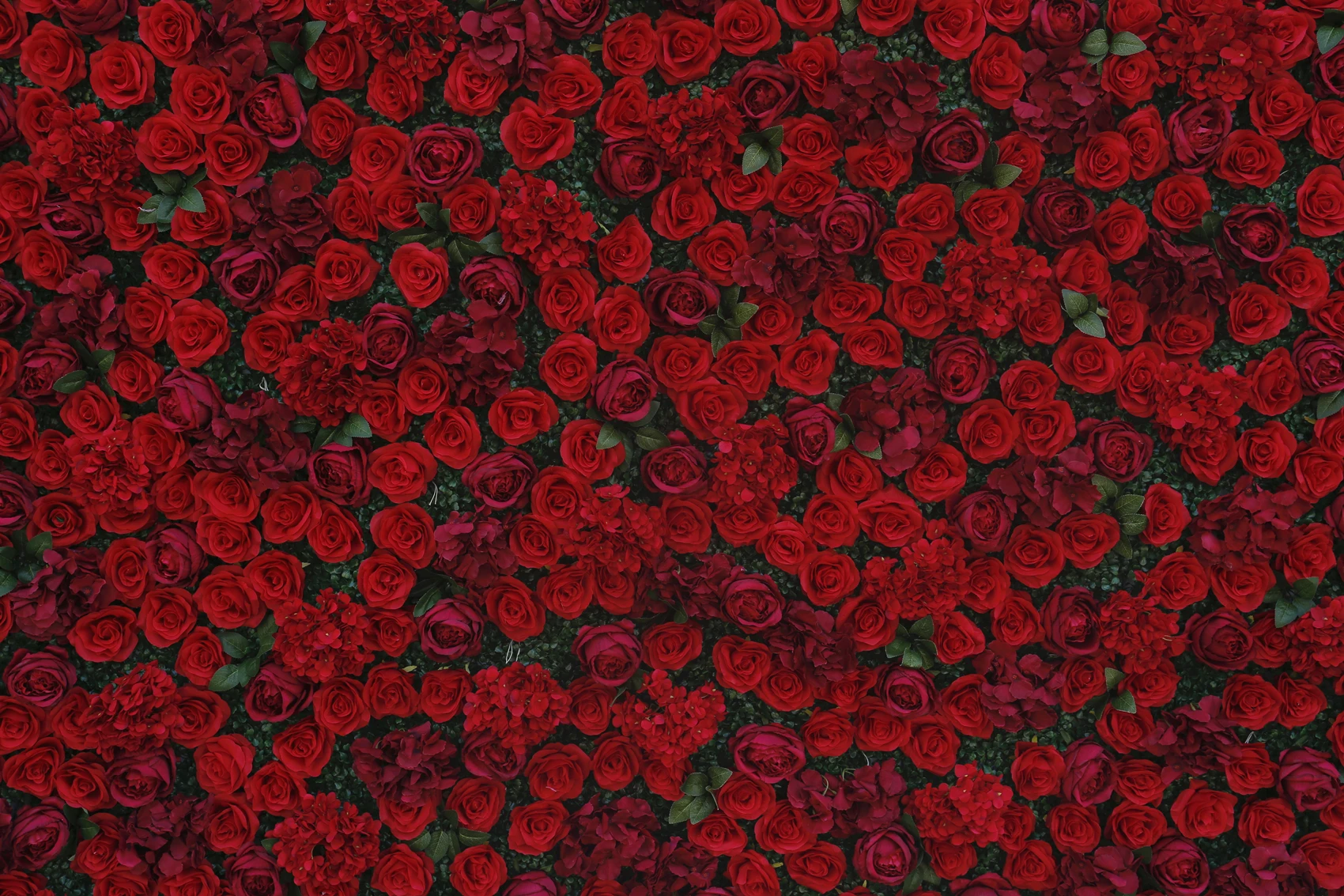 Party Rentals - Elegant Red Rose Flower Wall Backdrop