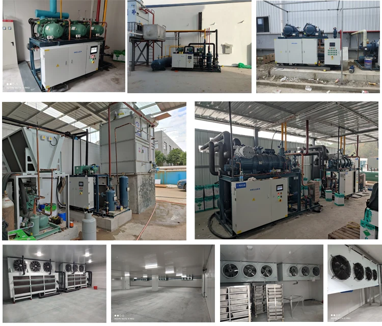 100hp -40c Blast Freezer Room Evaporative Condenser Shock Cooling Screw ...