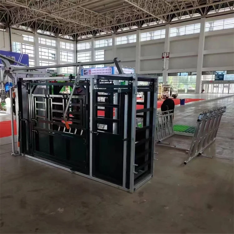 Overall Galvanizing Cattle Handling Equipment & Livestock Equipment For ...