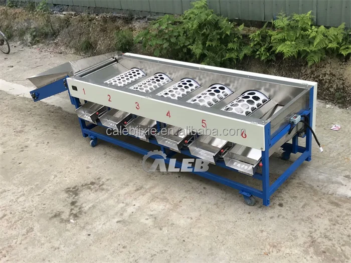 Professional Tomato Date Palm Sorting Grading Machine - Buy New Style ...