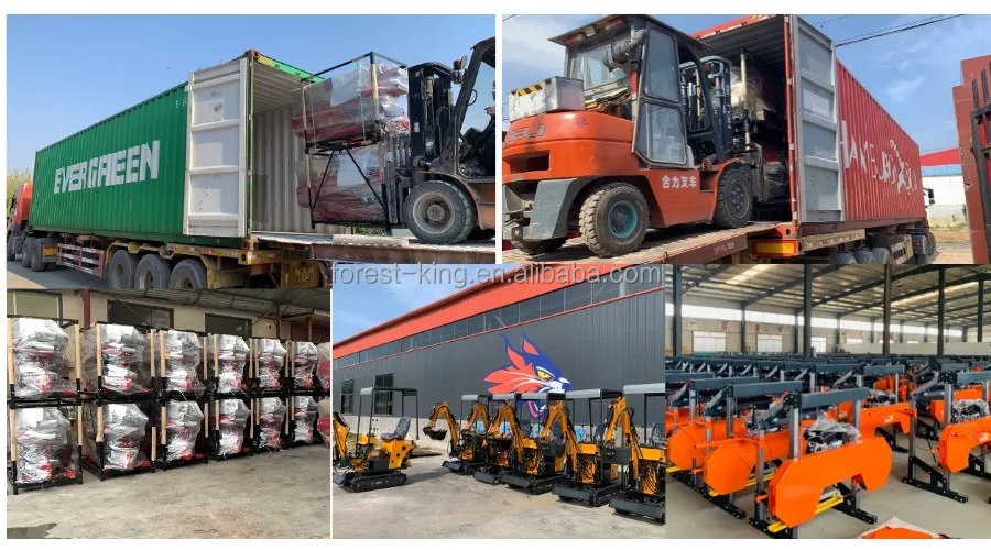 Rima Pto Driven Forestry Mulcher3 Forestry Machine Remote Agricultural ...