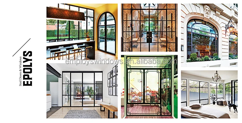 Forster Profile Steel Door Frame Pivot Entry Doors Modern Tempered ...