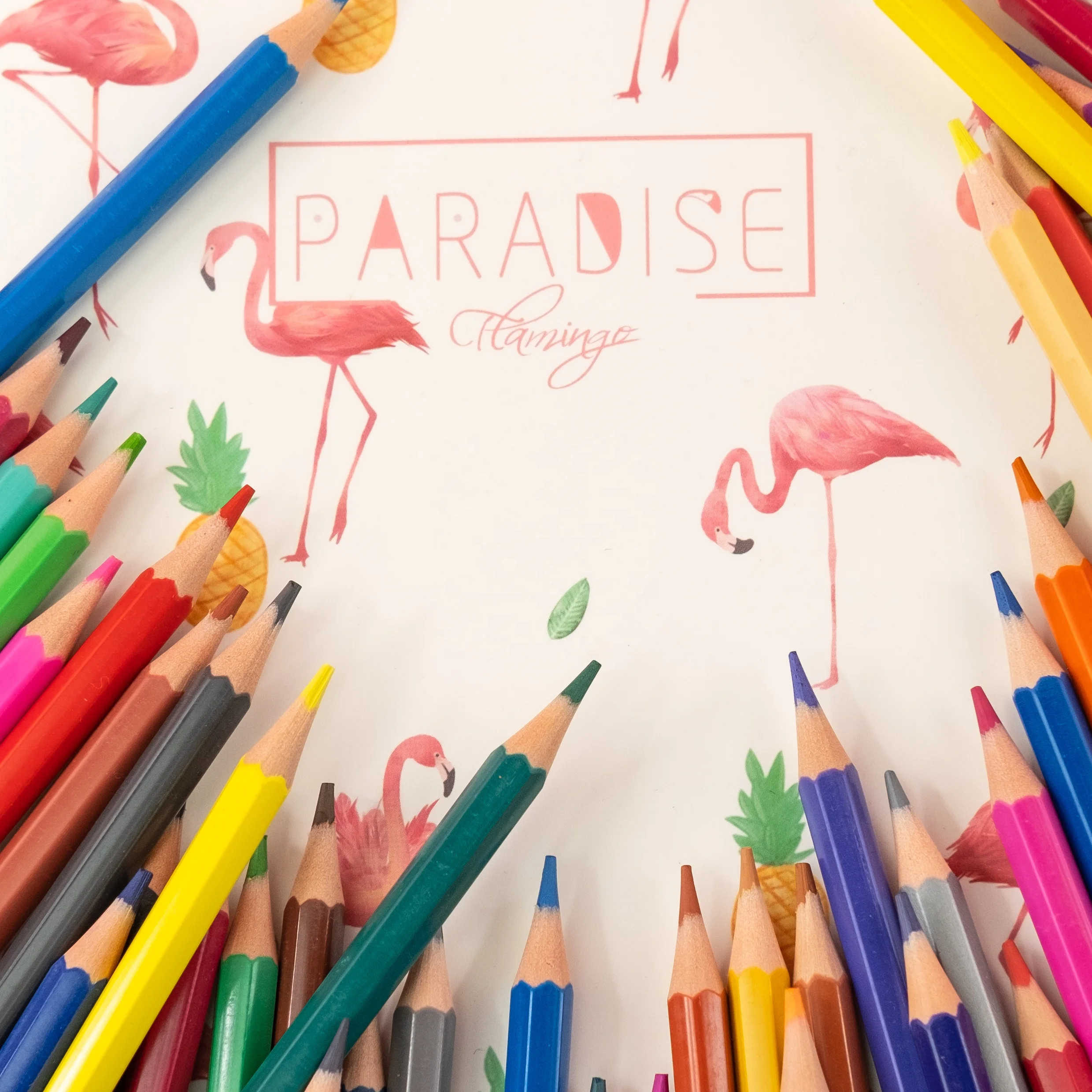 7Inch 12pcs/24pcs/36pcs /48pcs Plastic Custom Logo Color Pencil Set ...