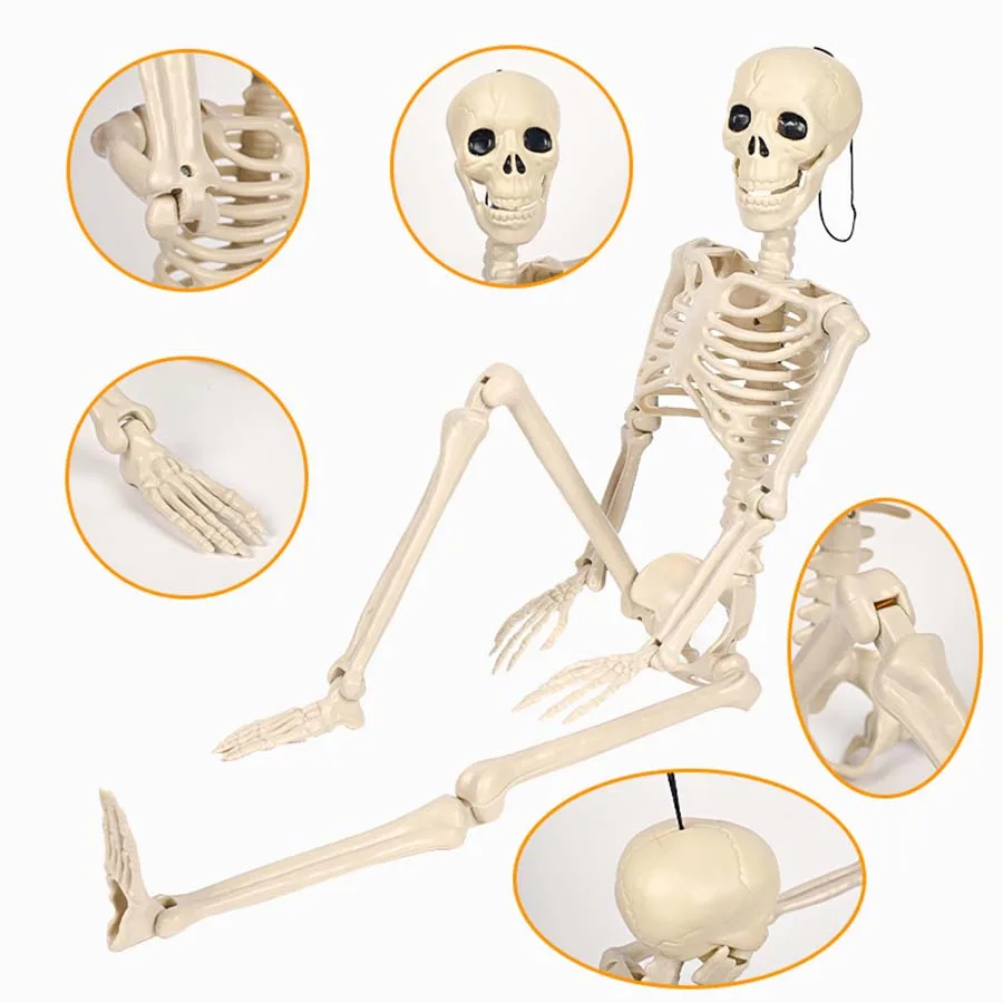 Plastic Human Skeleton Haunted House Supplies Full Body Diy Joints ...