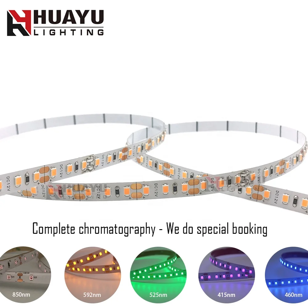 Purple Color Flexible Led Strip 5050 Smd Pink / Pink Purple / Pastel ...