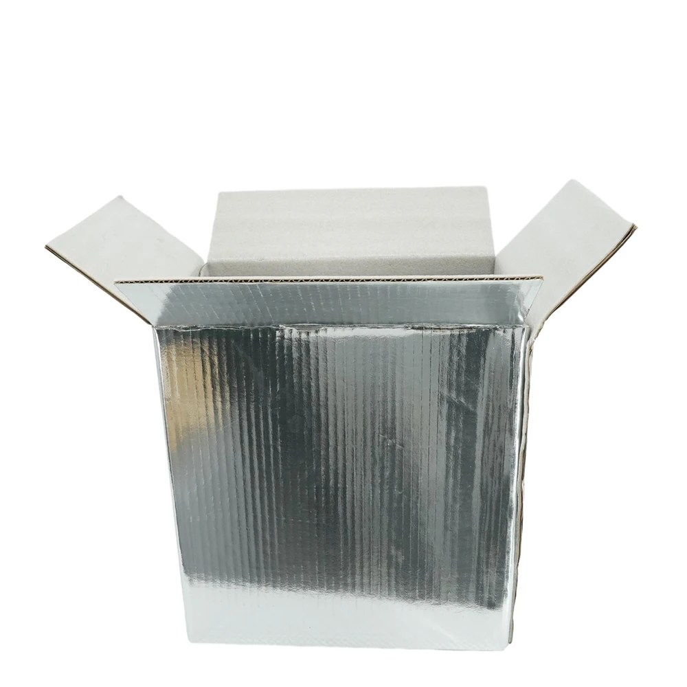 Insulated Food Cooler Packaging Carton Boxes for Transport