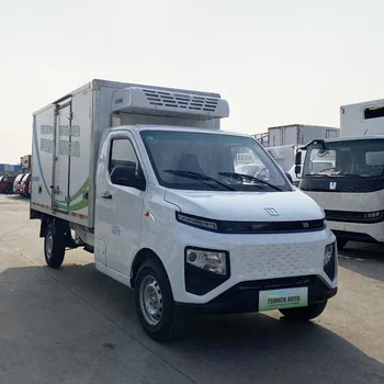 New Energy F1e Geely Refrigerated Van Transporter 4x2 Yuancheng 5 Ton ...