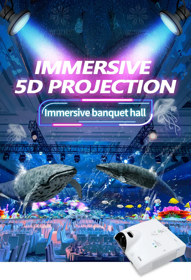 Immersive Digital Art Installation - Projection Mapping