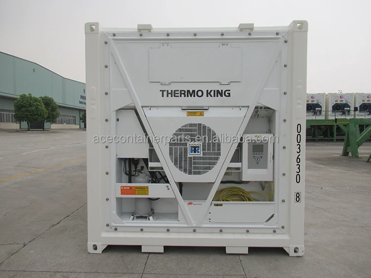 CSC Approved 20ft Reefer Container - Thermo King Cooling