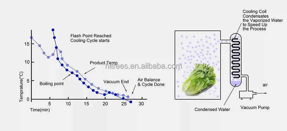 Vegetables Vacuum Precooler for Fruits Fresh Cut Flowers| Alibaba.com
