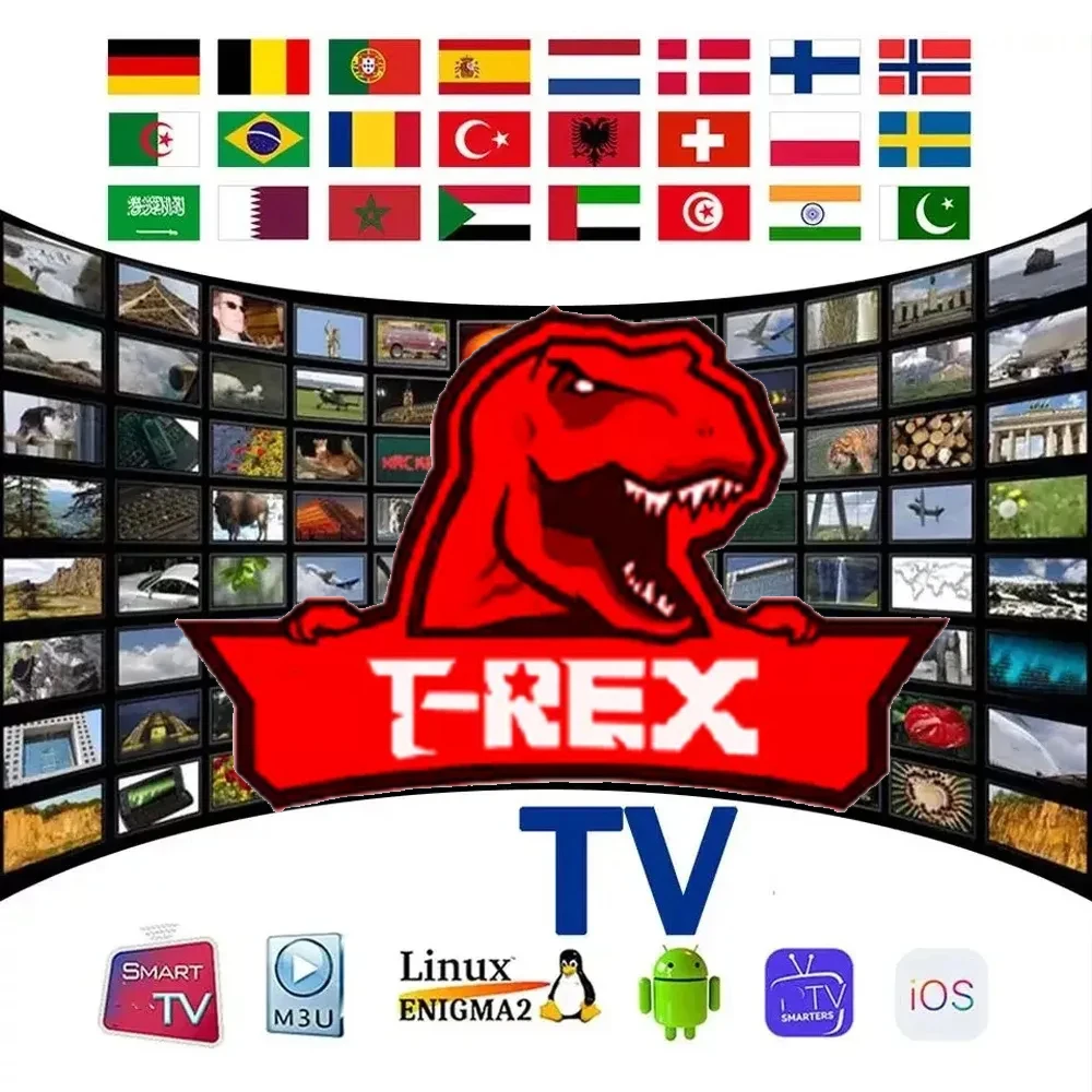 Trex 4k Strong Ott Box Ip-tv Smart Tv M3u Support Enigma2 T-rex Iptv For Fhd Usa Canada Europe ...