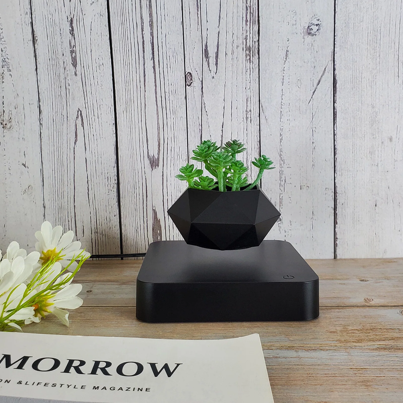 Levitating Flowerpot - Magnetic Floating Bonsai Pot