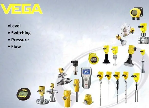 VEGAVIB 61 Vibrating Level Switch VB61.GXAGDRAMX for Granular Bulk ...