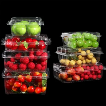 Custom Clear Transparent Food Container Pet Disposable Plastic ...