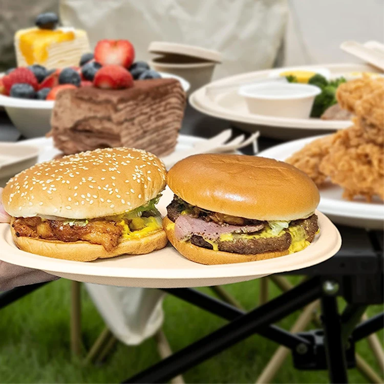 Pvc Fast Food Tray Pulp Tableware 9 Inch Biodegradable Disposable ...