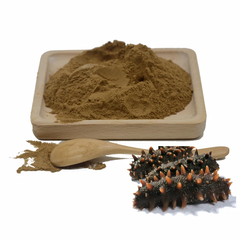 Best Price Sea Cucumber Extract Powder - 1kg to 25kg