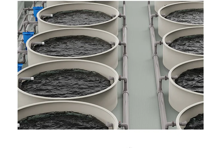 Ras Circulating Aquaculture System Drum Filter Solid Filter Rotary Drum ...