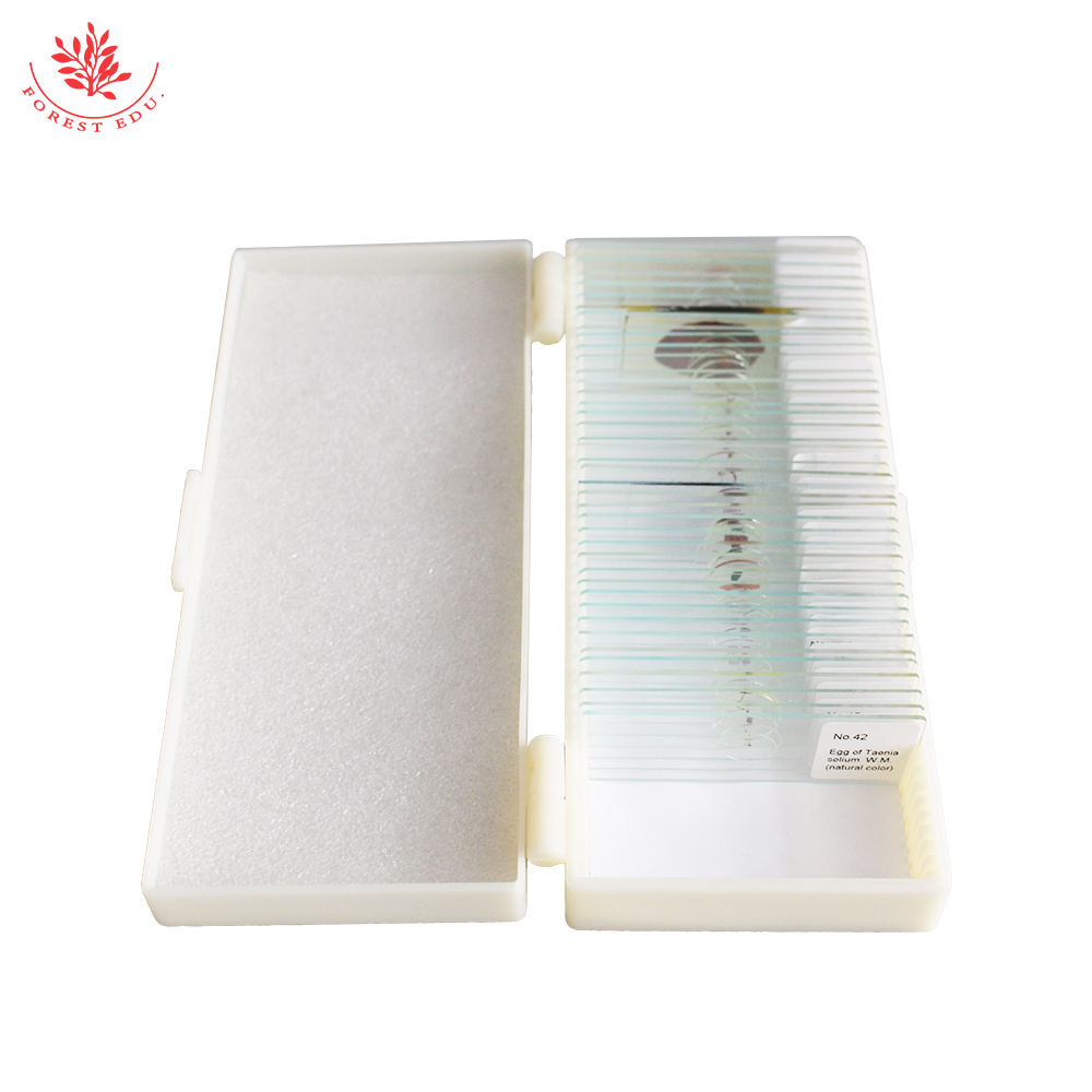 Parasite Microscope Slides - Educational Medical Tools