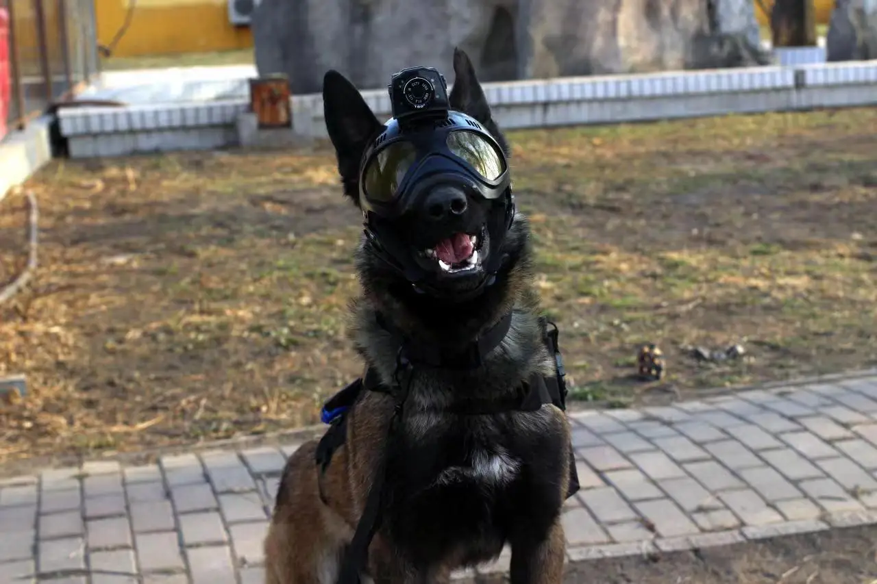 ONETHINGCAM Helmet K9 - Live Streaming Video with Audio