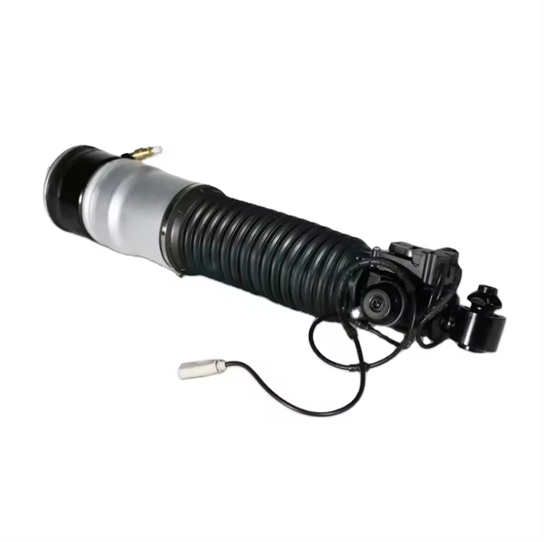 CCL Auto Suspension System New Rear Air Shock Absorbers Air Spring ...