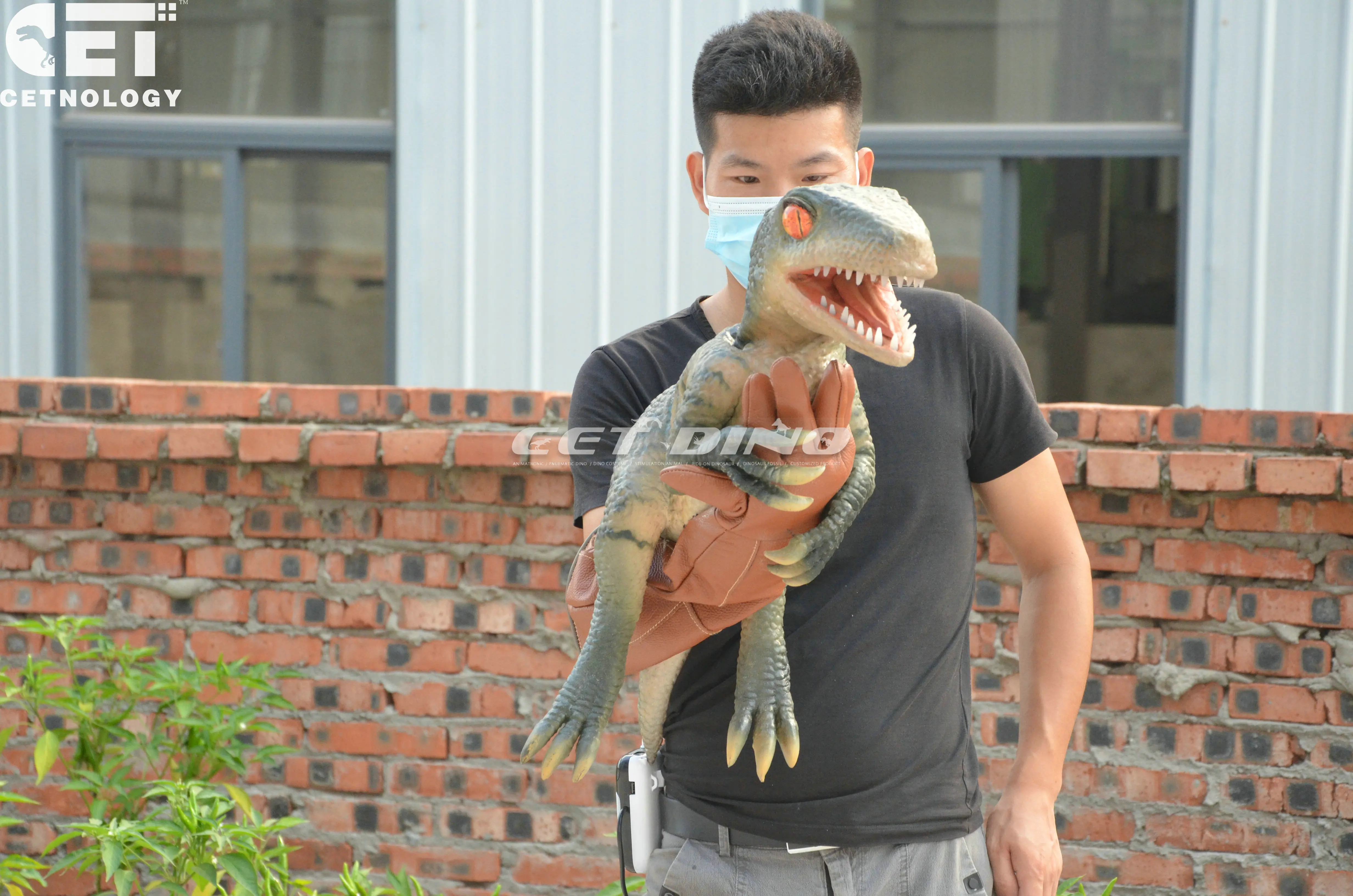 Dinosaur Hand Puppets 2022 Realistic Animatronic Dinosaur Baby Puppet ...