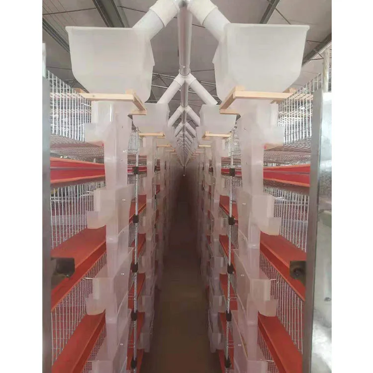 Quail Farming Cage System With Pcv Water Pipe And Feed Trough| Alibaba.com
