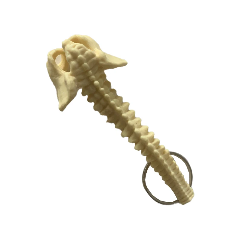 Miniature Human Spinal Girdle Model Posterior Occipital Pelvic Keychain ...