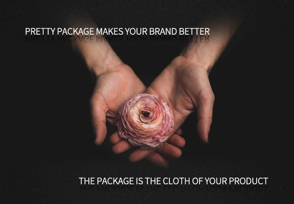 Custom Courier Delivery Polly Mailer Shipping Clothing Poly Bags