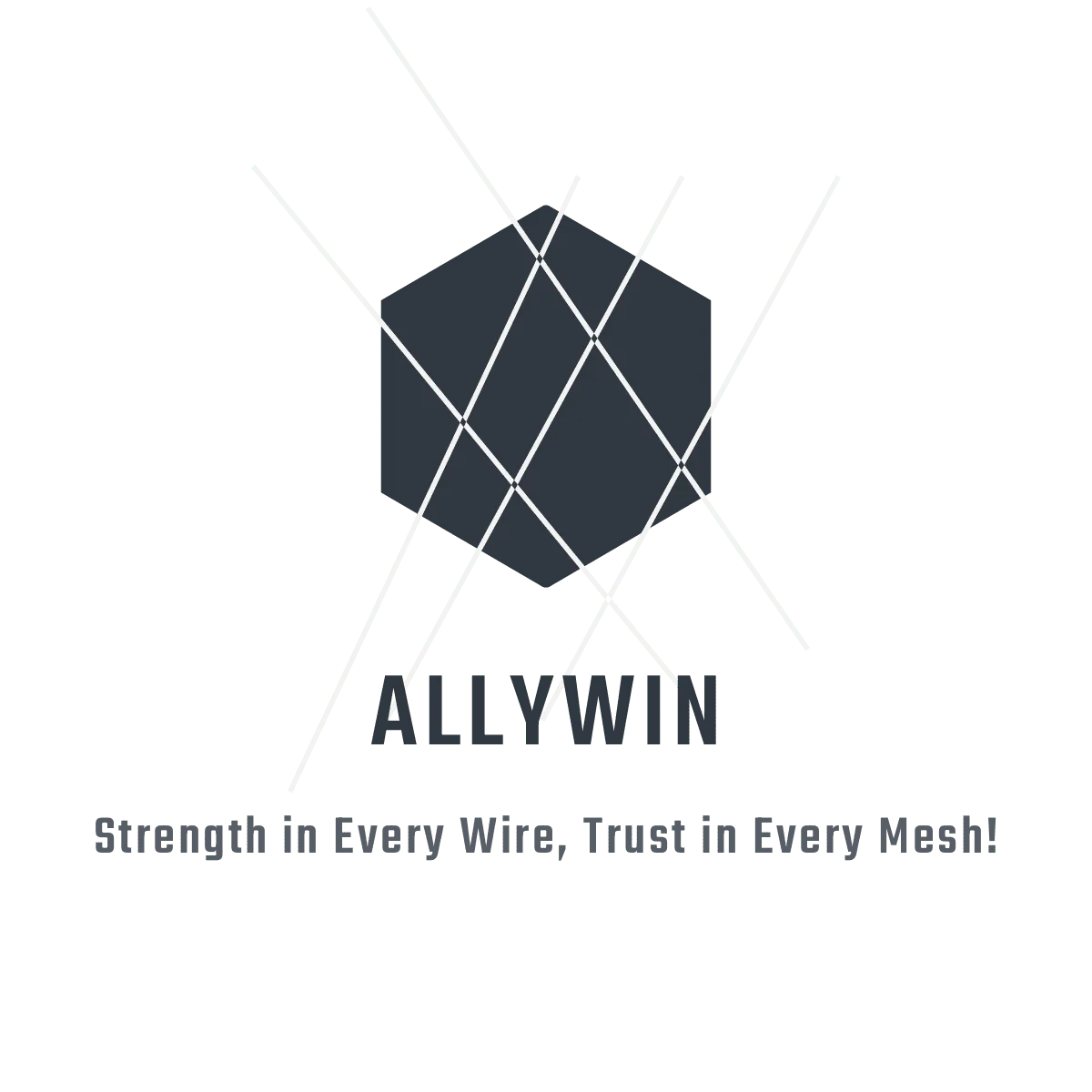Company Overview - Anping County Allywin Metal Products Co., Ltd.
