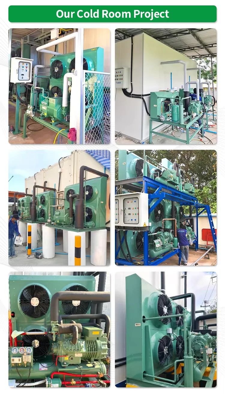 20 Feet Movable Chiller Room Portable Container Cold Storage Room 40 ...