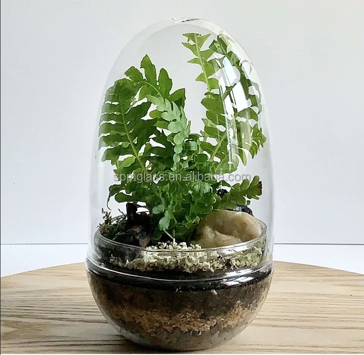 Egg Shaped Glass Terrarium - Perfect for Miniature Plants