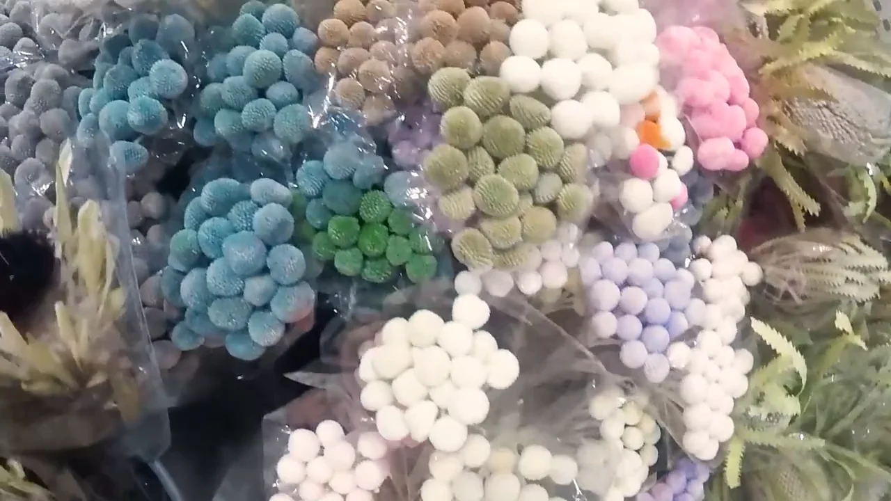 Golden Billy Button Flowers For Wedding Decoration Preserved Flowers ...