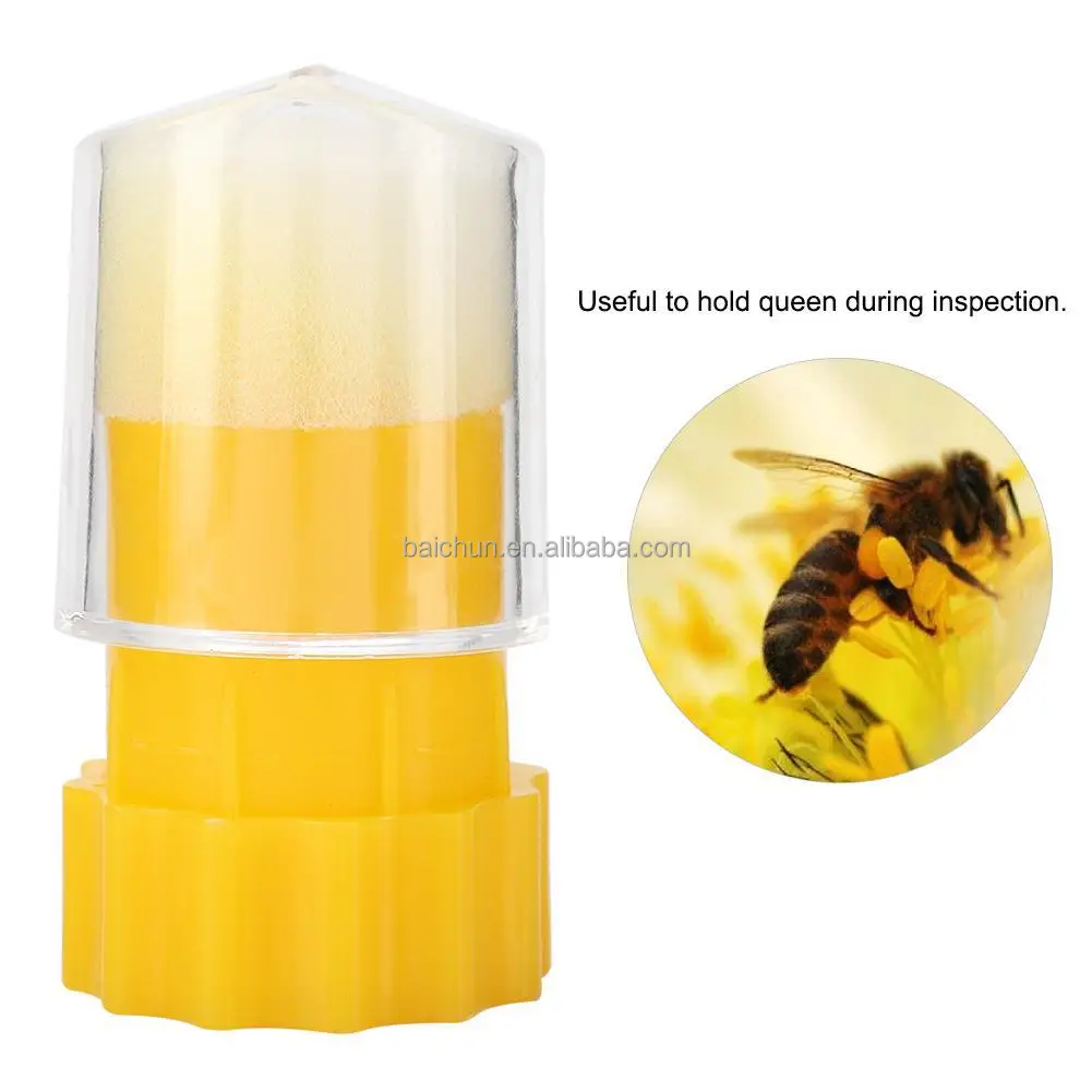 Queen Bee Mark Set 2024 - Buy Queen Bee Mark Kit Product on Alibaba.com