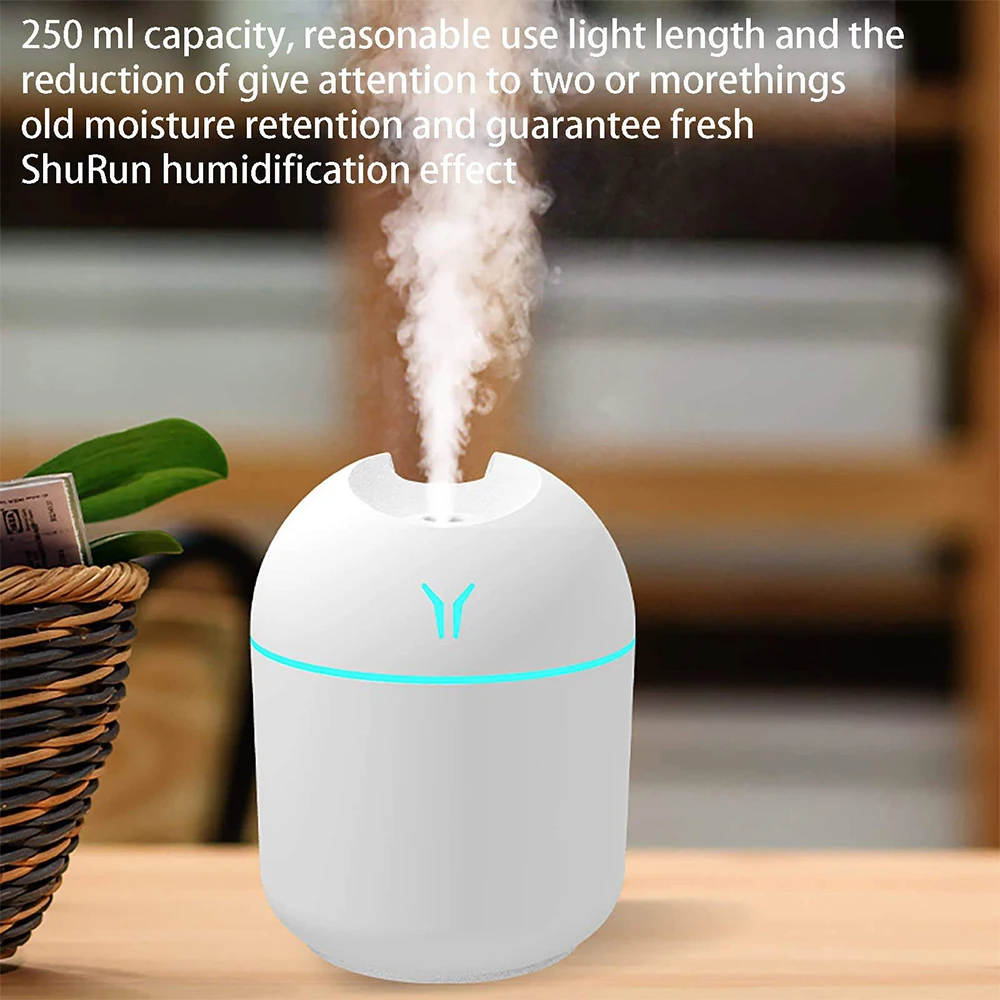 Mini USB Rechargeable Air Humidifier - Portable & Aromatherapy