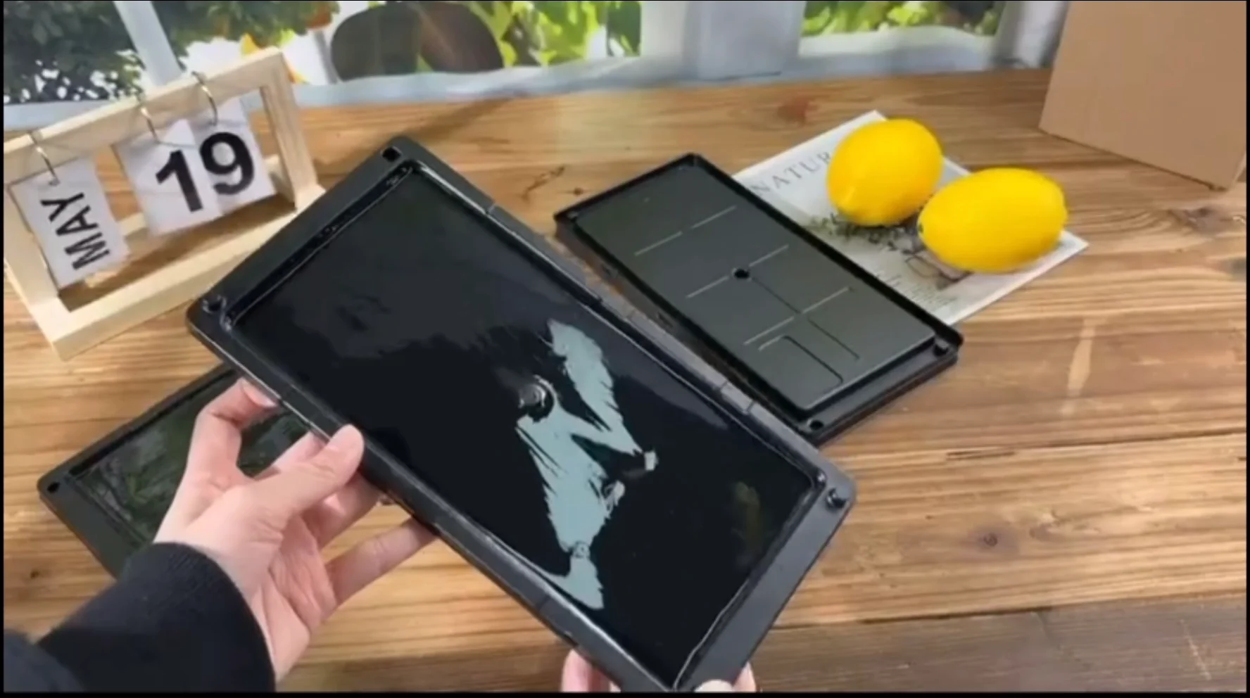 Mouse&rat Mice Glue Tray Traps Adhesive For Home,Insect Traps Indoor ...