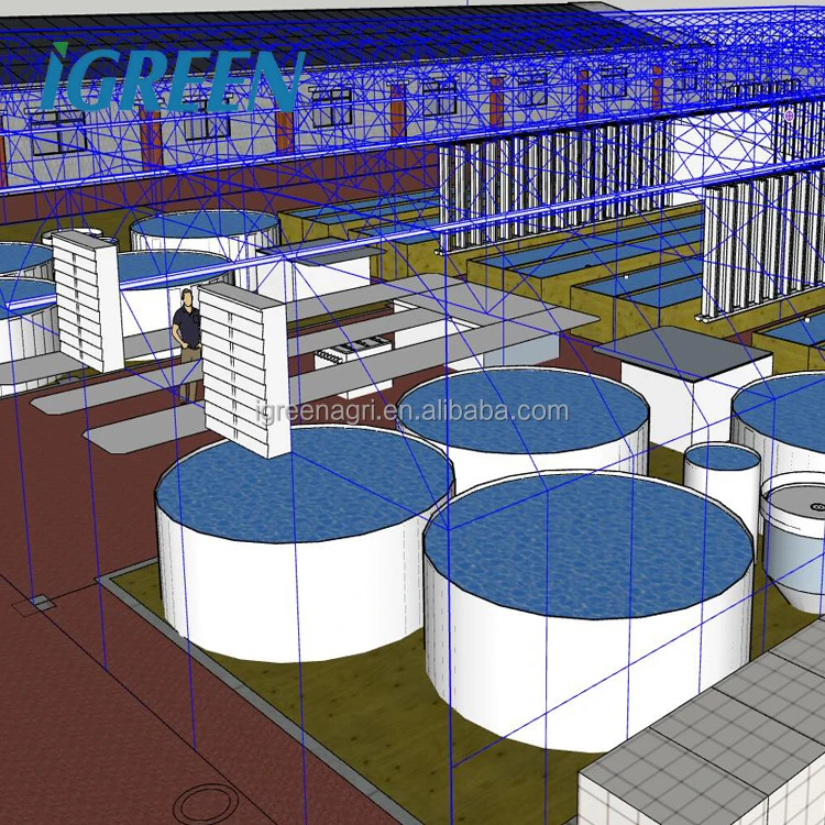 Indoor Ras Shrimp Farming Equipment - IGREEN IGRAS System