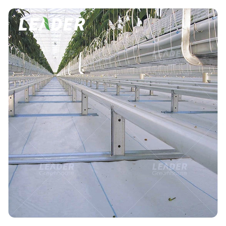 Greenhouse Facility Heavy Duty Load Galvanized 550mm Pipe Rail Support ...