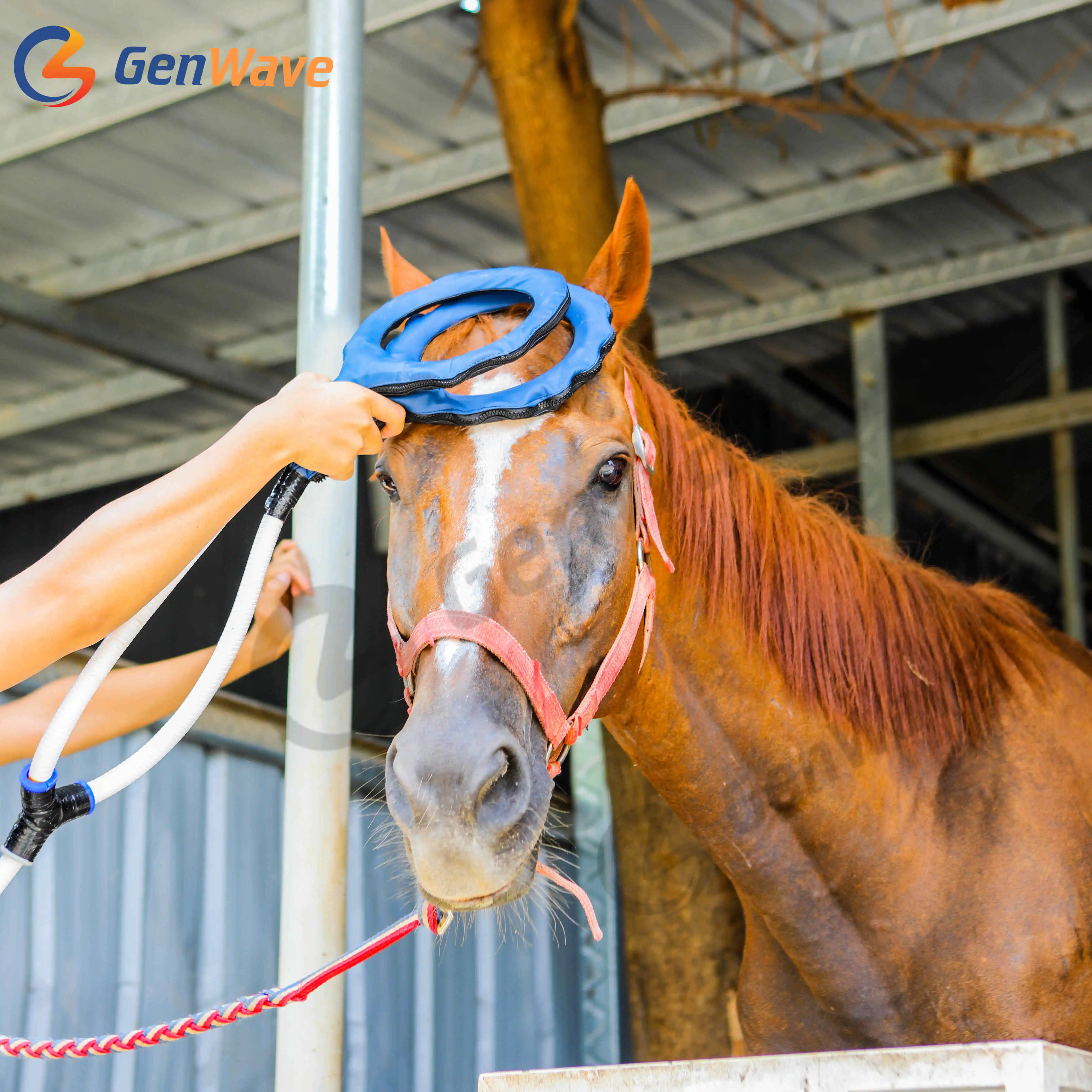 Portable Pemf Magnetic Therapy Device for Horse Rehabilitation
