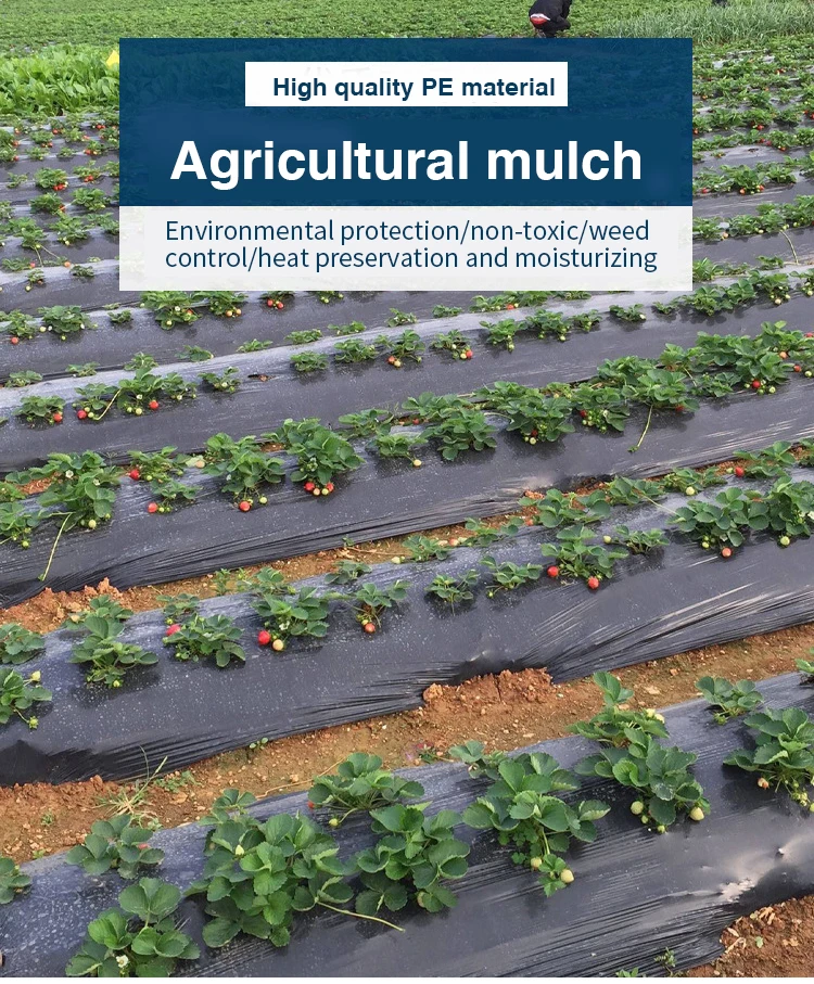 Jijid Black Plastic Mulch Film,Agricultural Plastic Mulch Film With ...