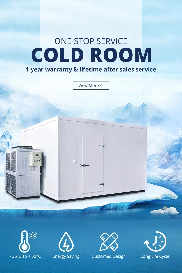 20ft 40ft Solar Container Cold Storage Freezer System