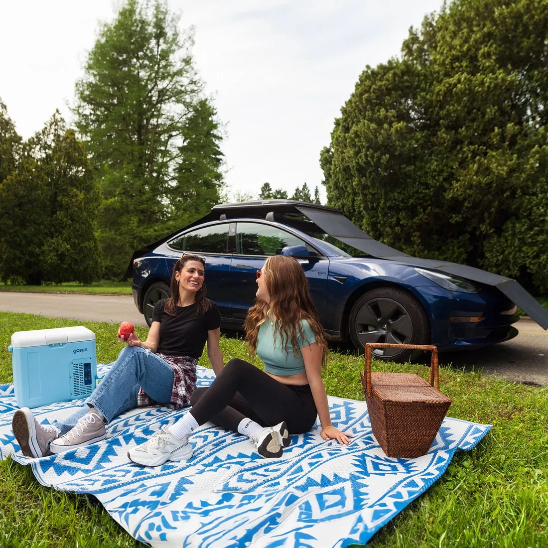 Tesla Portable Solar EV Charging Solution | OEM Compatible | Wholesale