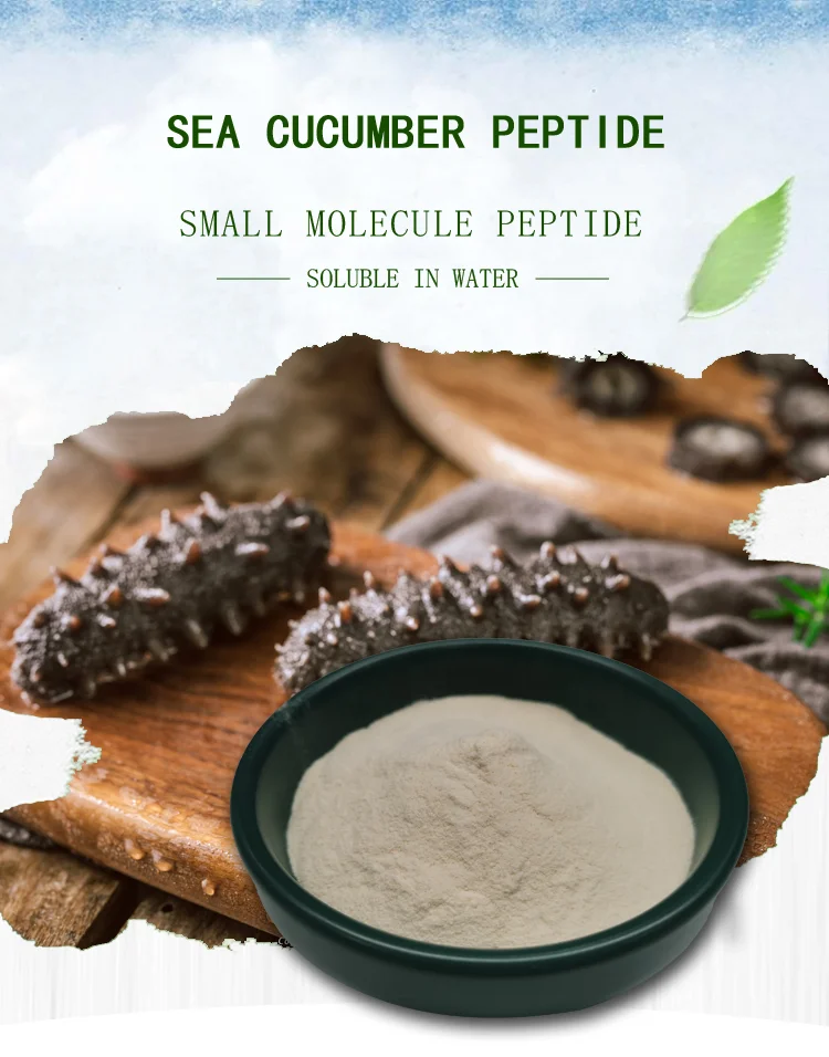 Sea Cucumber Extract Powder 10:1 | Herbal Extract for Food Applications ...