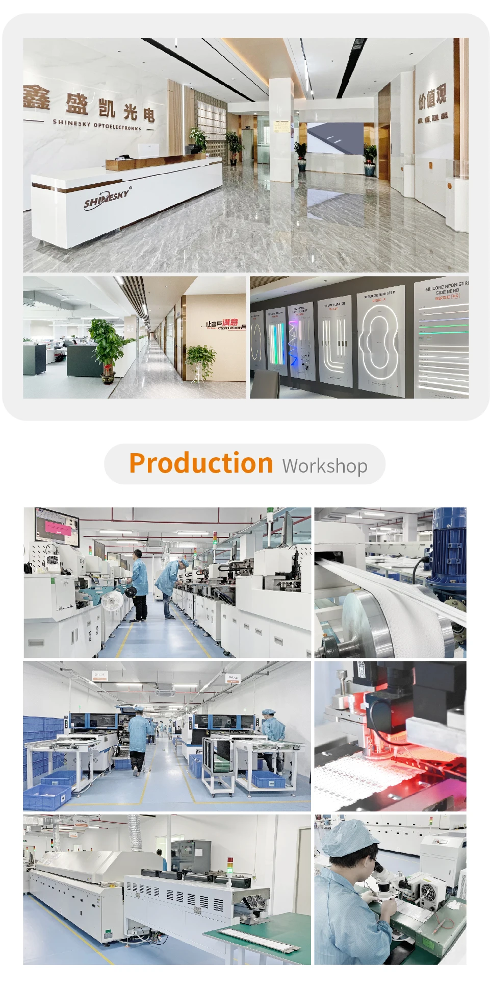 SHINESKY Neon Flex Swimming Pool LED Strip - 50000 Hours