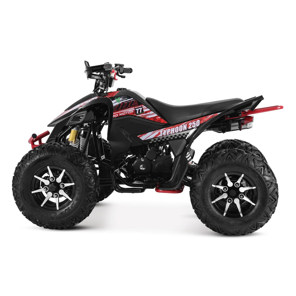 Tao Motor 2024 New ATV 250cc 4x4 Cuatrimoto - Durable & Versatile