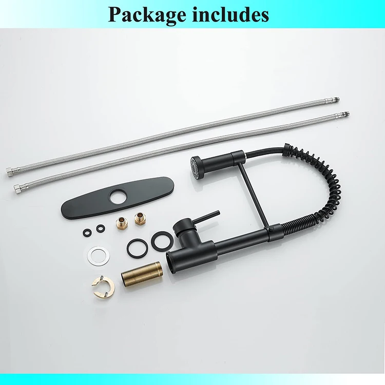 Modern Family Newly High Life Watermark Spring Durable Sus304 Pull Out ...