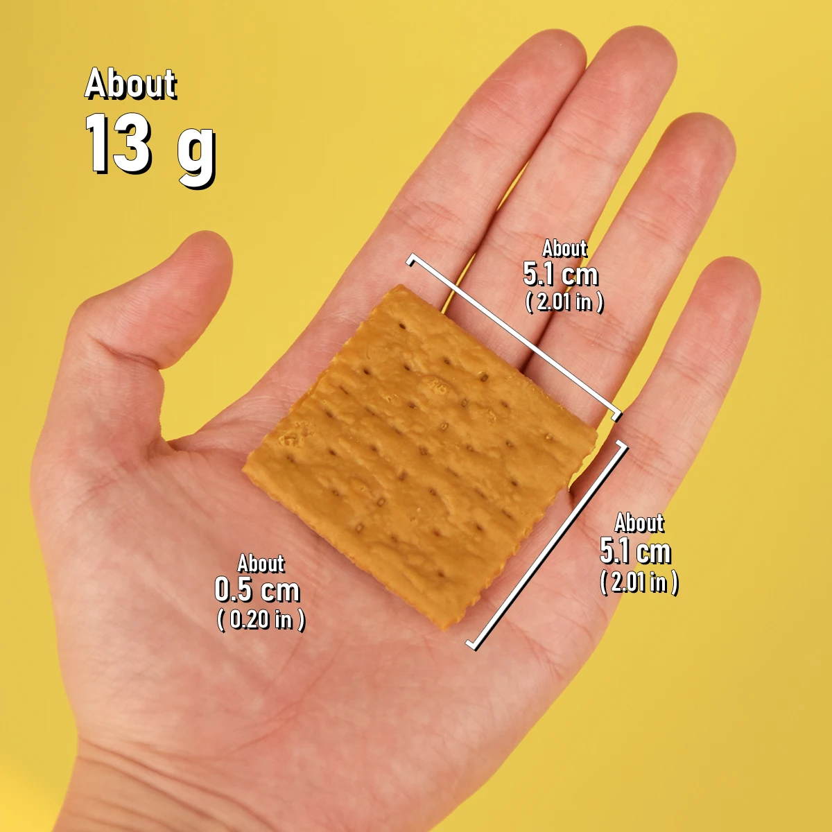 Fake Graham Crackers - Sodas Biscuits Artificial Model