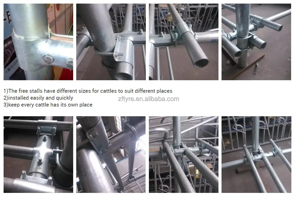 Cattle Headlocks - Efficient Feeding Solutions for Farms